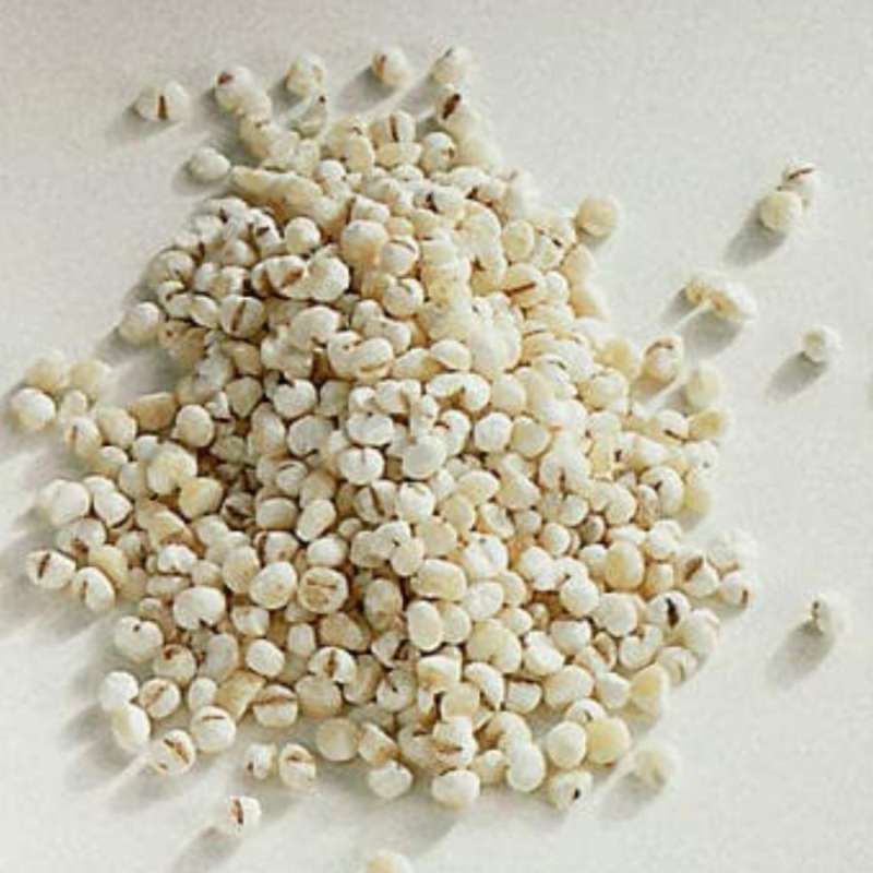 Jual jali jali barley / jali jali RRT / Barley / Biji Barley 500 gram ...