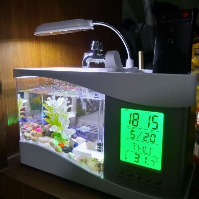 Jual Stok Terbatas Akuarium Mini Ikan Cupang Lampu Meja Kerja Aquarium ...