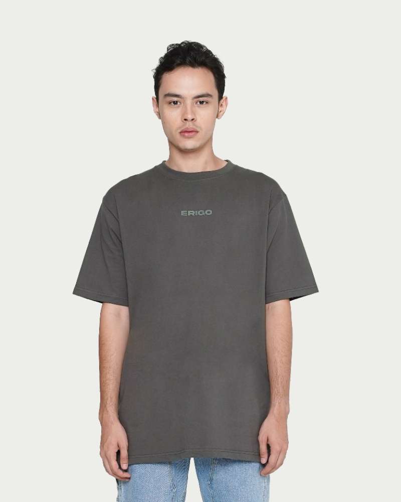 Jual T-Shirt Basic Logo Oversize Neutral Color - Champlain Asphalt S di ...