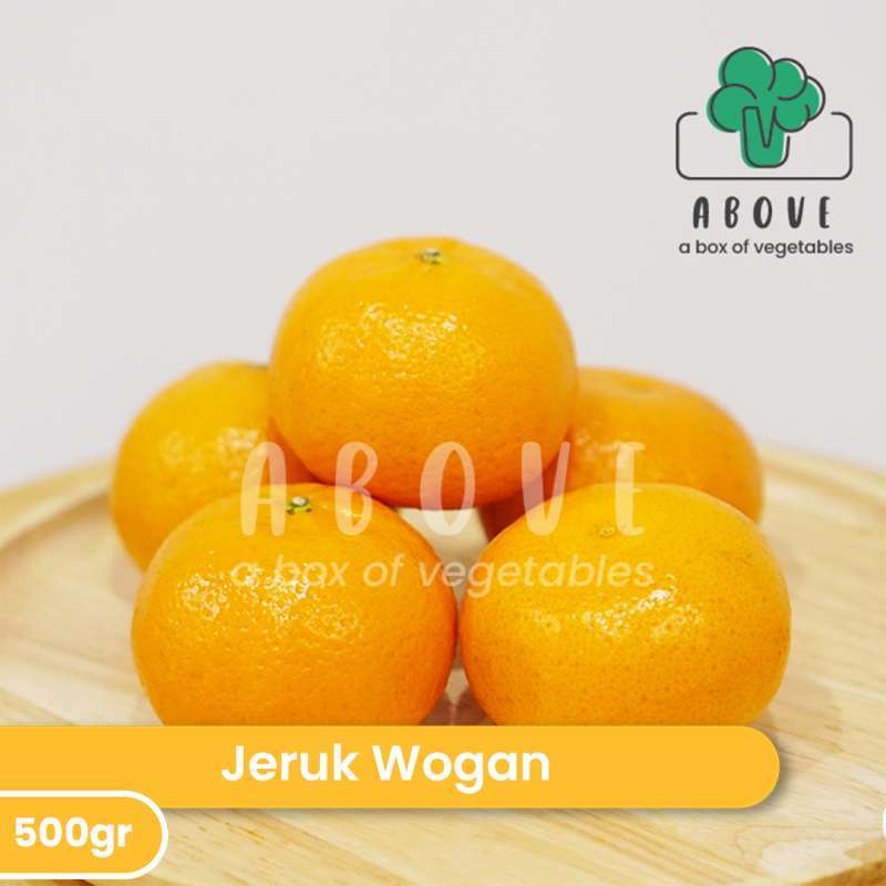 Jual Jeruk Wogan Mandarin Harga Grosir Juli 2024 - Blibli