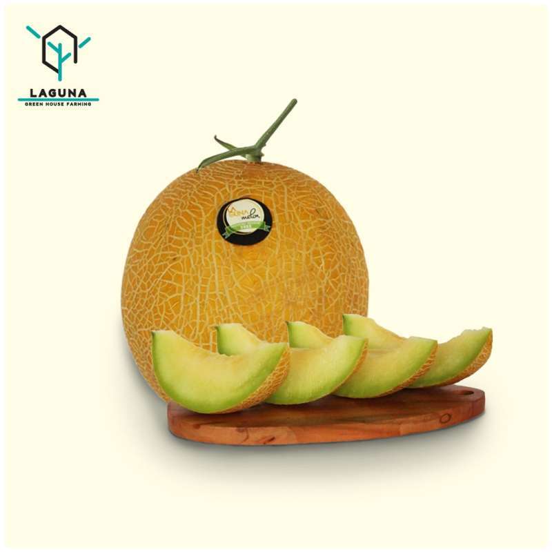 Jual Melon Inthanon 2 Pcs [gratis Ongkir Ke Jabodetabek] Halal Di ...