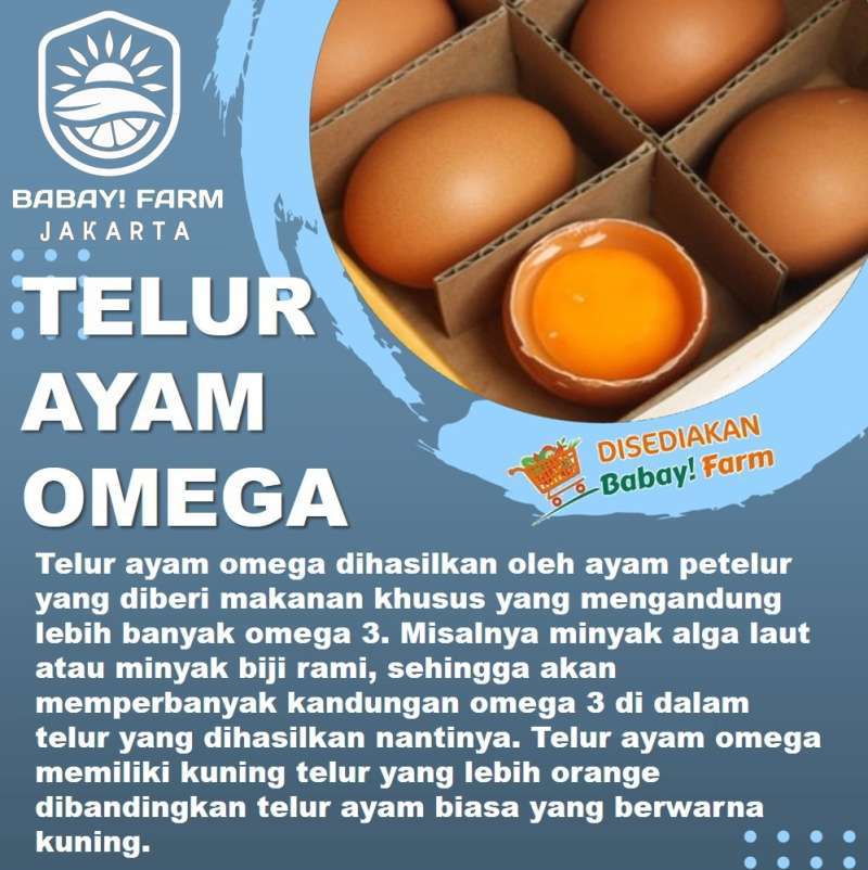 Jual Telur Ayam Negeri Omega 3 / Telor Negri Super Omega 3 - 10 Pcs ...