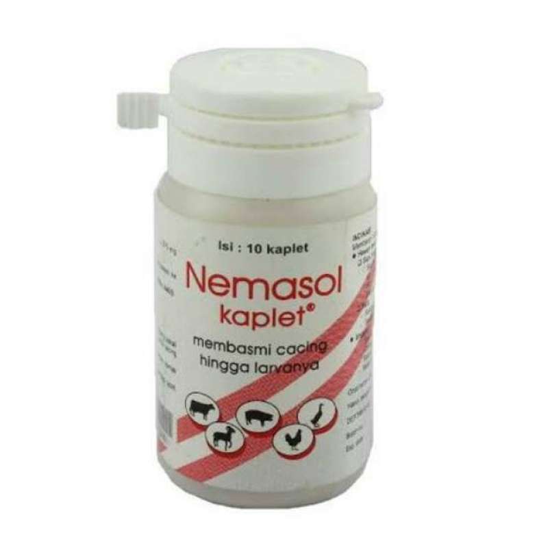 Jual Obat Cacing Nemasol Termurah - Harga Grosir Terupdate Hari Ini ...