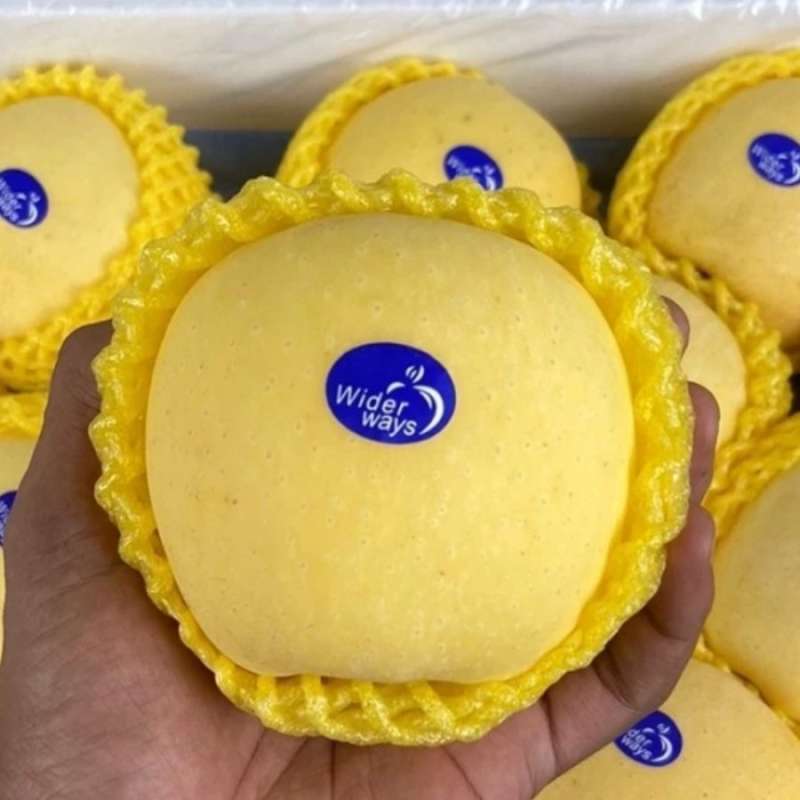 Jual Buah Segar Apel Putih Venus White Apple Import 500 Gr - 1 Kg Halal ...