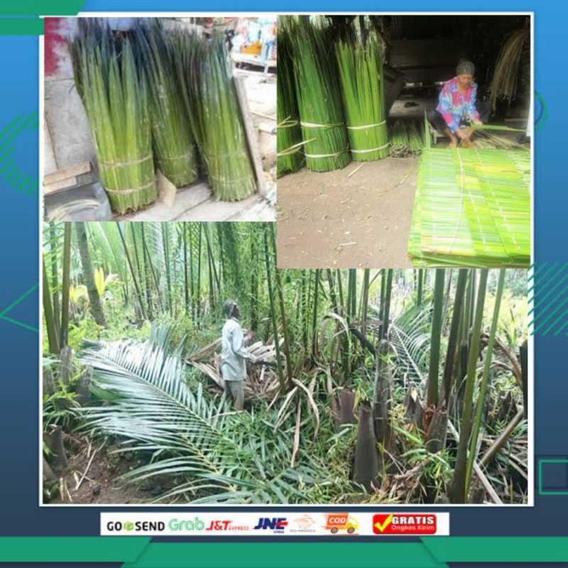 Jual Atap Daun Nipah - Pilihan Harga Termurah Di 2024 | Blibli