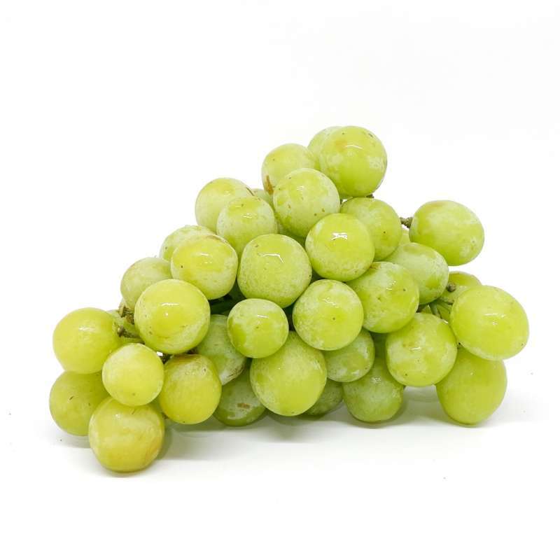 Jual ANGGUR HIJAU GREEN SEEDLESS Halal di Seller Sukabuah - Pegadungan ...