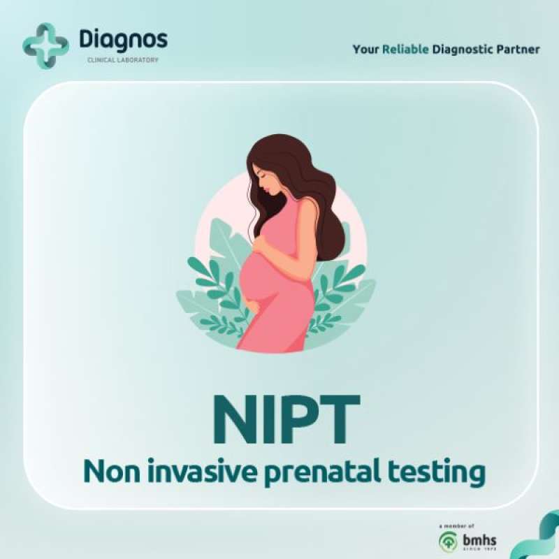 Jual Diagnos Laboratorium Nipt - Non-invasive Prenatal Test Di Seller ...