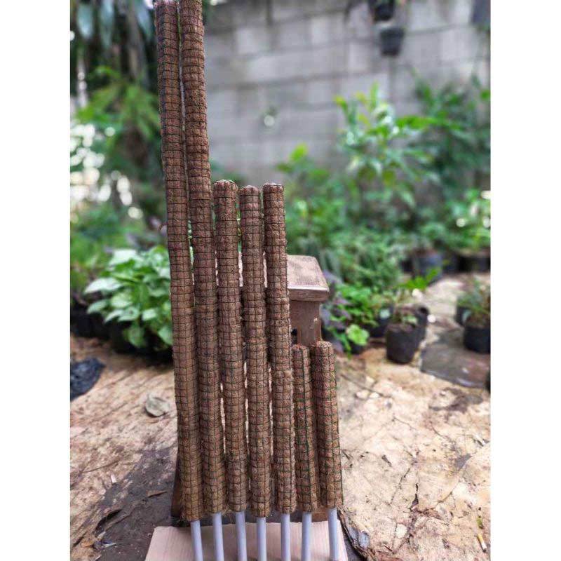 Jual Turus tanaman 100cm / tiang penyangga tanaman merambat di Seller ...