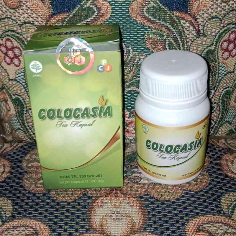 Jual Colocasia Asli Obat Persendian Lutut Dan Tulang Asli Original Di ...