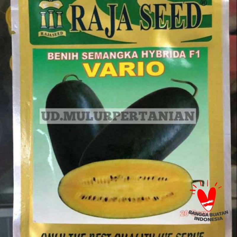 Jual Benih semangka VARIO hibrida F1 dari RAJA SEED isi 20gram di ...