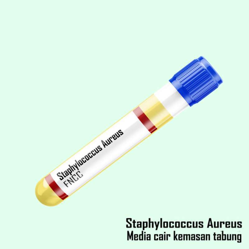 Jual Isolat Culture Staphylococcus Aureus Media Cair 100ml Di Seller ...