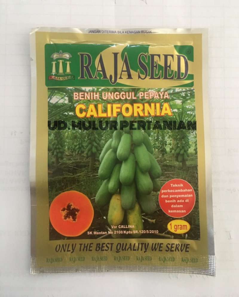 Jual Benih Pepaya CALIFORNIA Merk Raja Seed di Seller UD PANEN RAYA ...