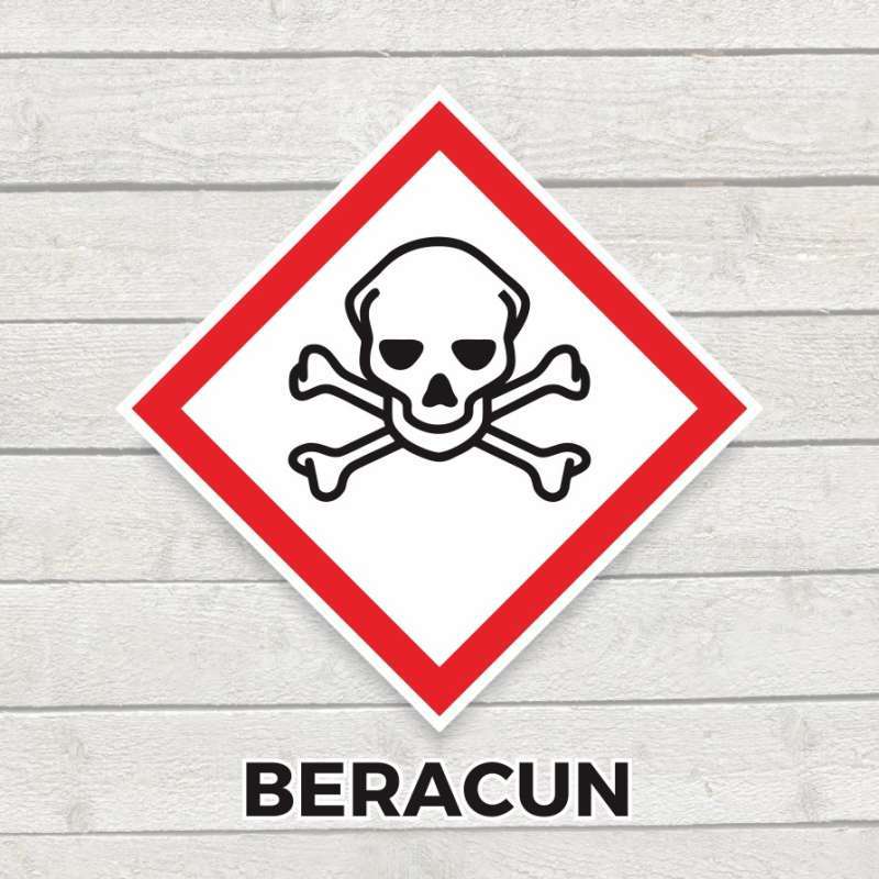 Bahan B3 Logo Mis Yuli – Canva