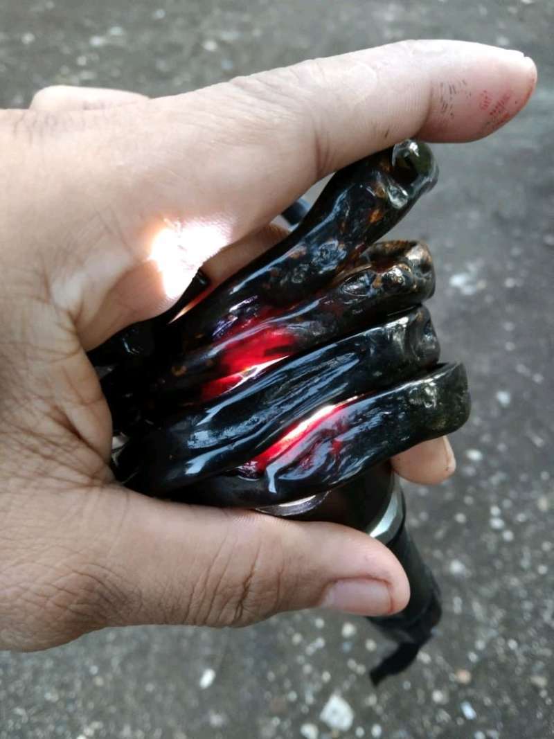 Jual akar bahar merah tembus cahaya size kantoran di Seller Akar bahar ...