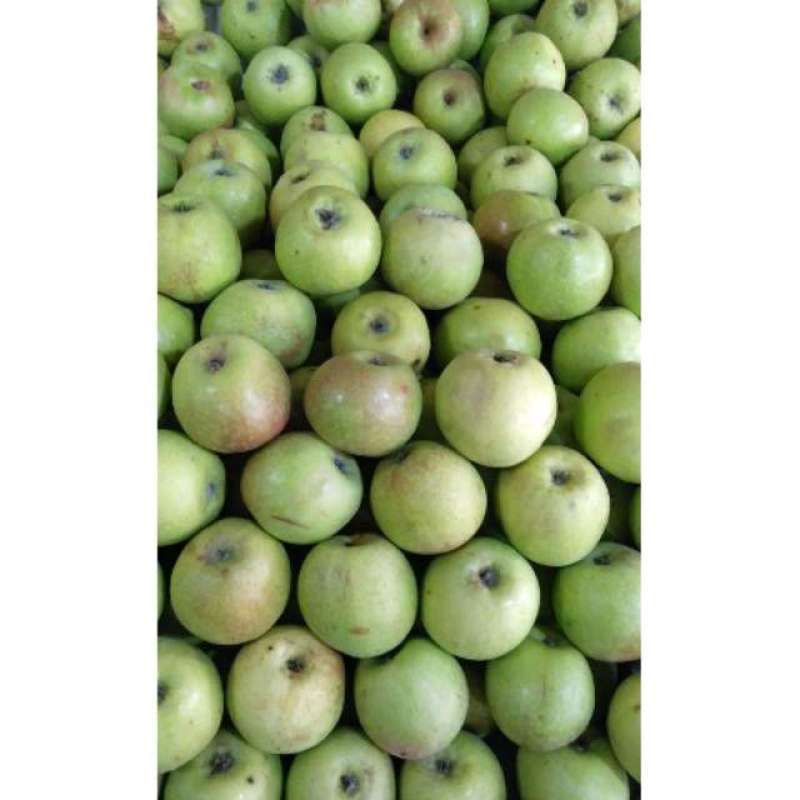 Jual Apel Manalagi 1/2kg Buah Apel Fresh Buah Bandung Segar Termurah Di ...