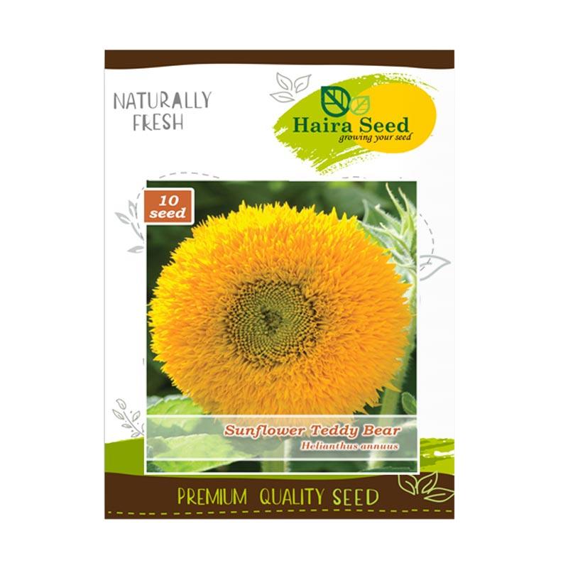 Rangkuman 31+ Bibit Tanaman Bunga Matahari Super Keren - Informasi ...