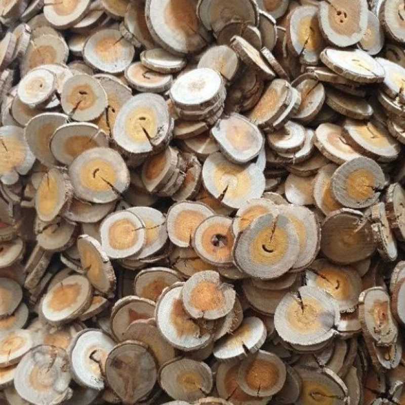 Jual potongan kayu secang wood slice Rustic 3cm - 5cm ( ada retak ...