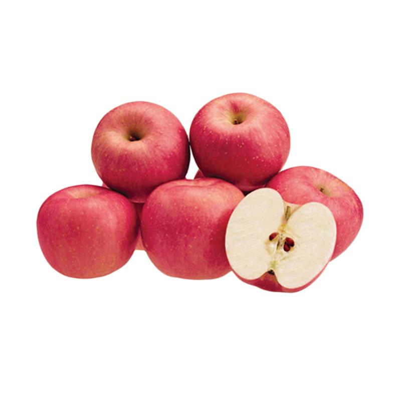 Jual My Fruit Yogyakarta Apel Fuji Blush Premium Buah-Buahan [15 kg ...
