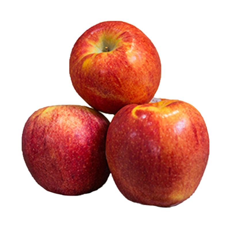 Jual Apel Envy Family Pack Buah-Buahan [2.5 kg] di Seller My Fruit ...