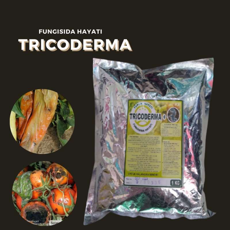 Jual Pupuk Tricoderma Harzianum, Fungisida Hayati Trichoderma Untuk Mengatasi Busuk Buah Dan ...