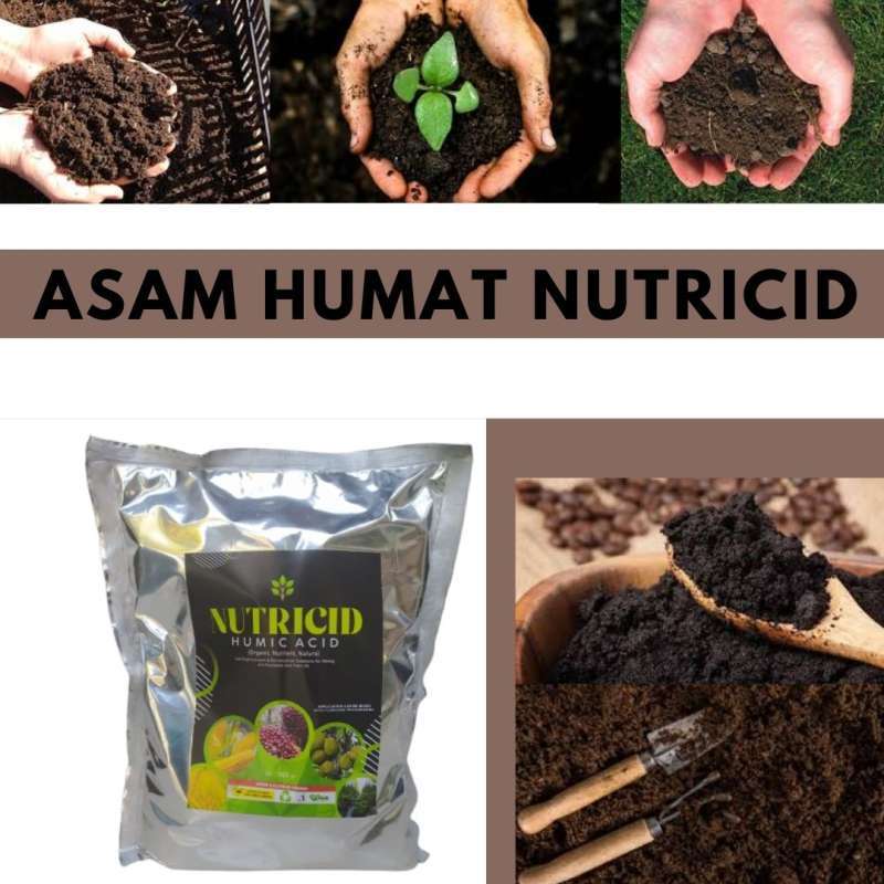 Jual Humic Acid untuk Kelapa sawit, Asam Humat pembenah Tanah tanaman ...