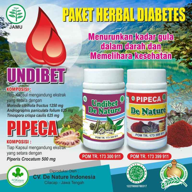 Jual Obat Herbal Diabetes Gula Kering Kencing Manis - Diabetes Basah ...