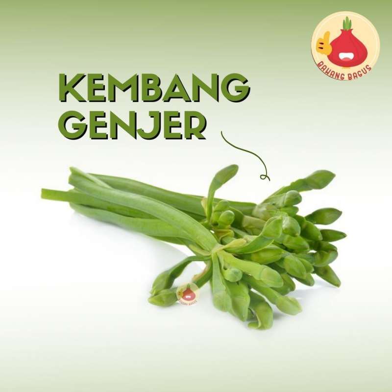 Jual Kembang Genjer / Sayur Genjer 1 Ikat / Sayur Segar - Bawangbagus ...