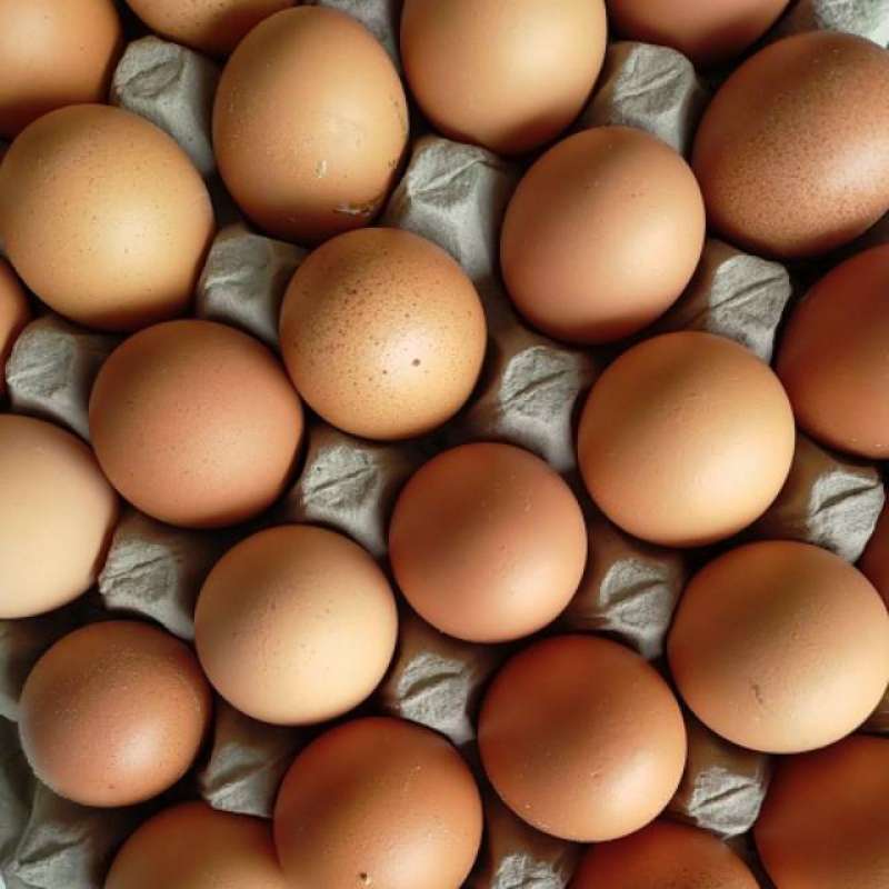 Jual TELUR AYAM NEGERI FRESH PER KG/ TELUR AYAM 1 KG/ TELUR AYAM NEGERI ...