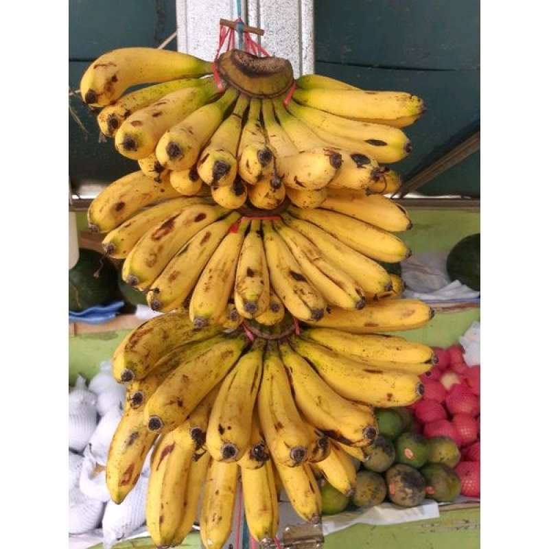Jual PISANG BARANGAN DARI MEDAN di Seller MAHA MAJU - Cilangkap, Kota ...