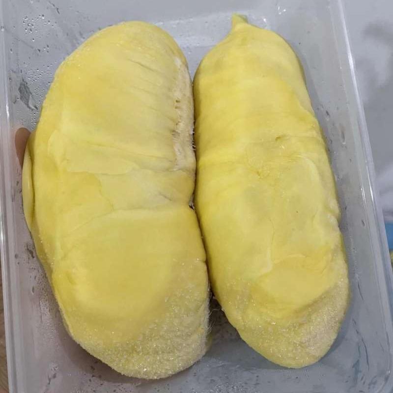 Jual durian montong Bali / durian monthong / monthong Bali singaraja ...