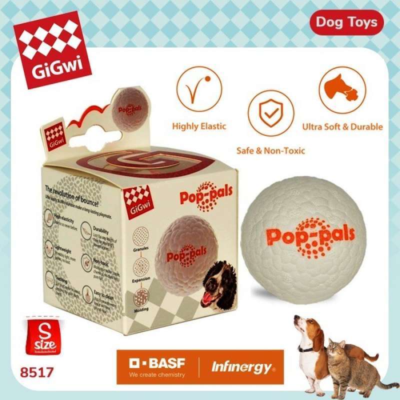 Fakta Unik yang Banyak Orang Nggak Tahu tentang Memelihara Anjing di ...