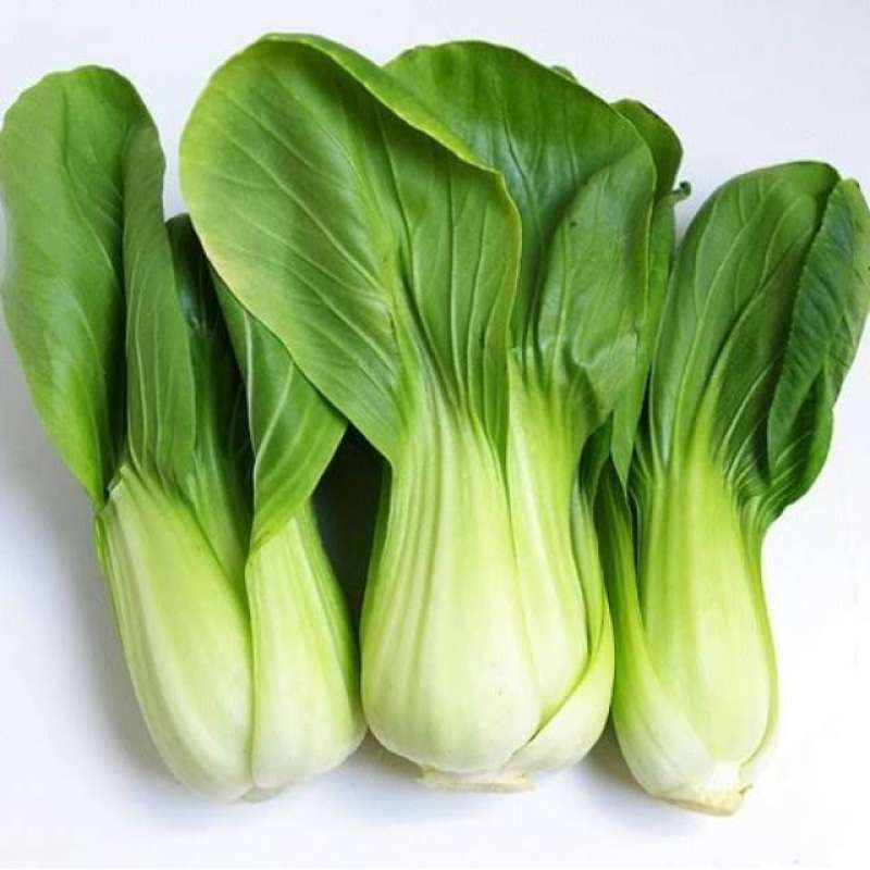 Sawi Pakcoy 1 Kg Gratis Ongkir 🏷️ Harga Murah Mei 2026