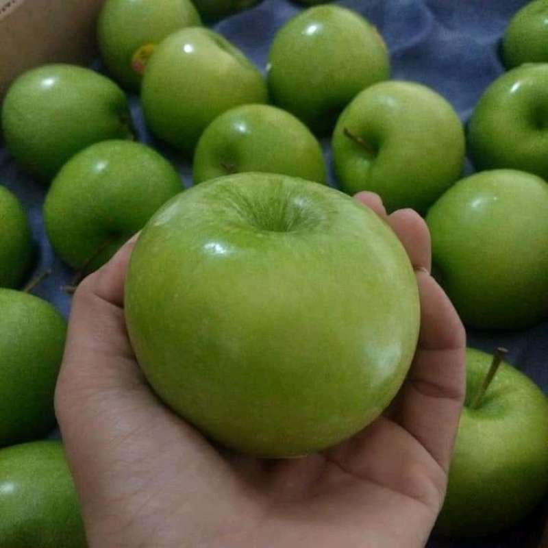 Jual Buah Apel Ijo Termurah - Harga Grosir Terupdate Hari Ini | Blibli