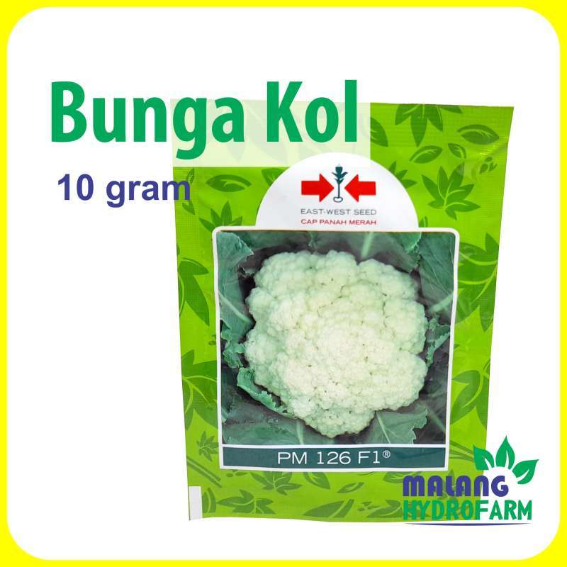 Jual Benih Bunga Kol Pm 126 F1 10 Gram Dataran Rendah Panah Merah Bibit ...