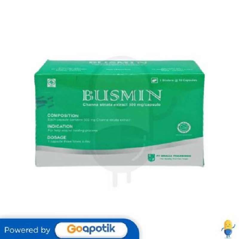 Jual Busmin Juli 2024 100% Original – Official Store Indonesia | Blibli