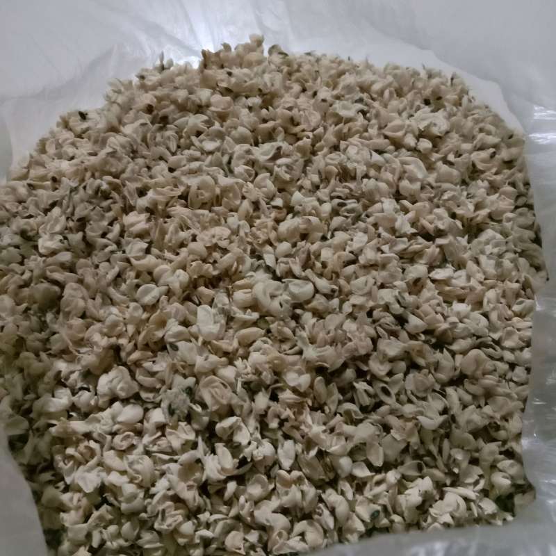 Promo Kulit Ari Kedelai Kering 1 Kg / Kleci / Klecepan / Pakan Ternak ...