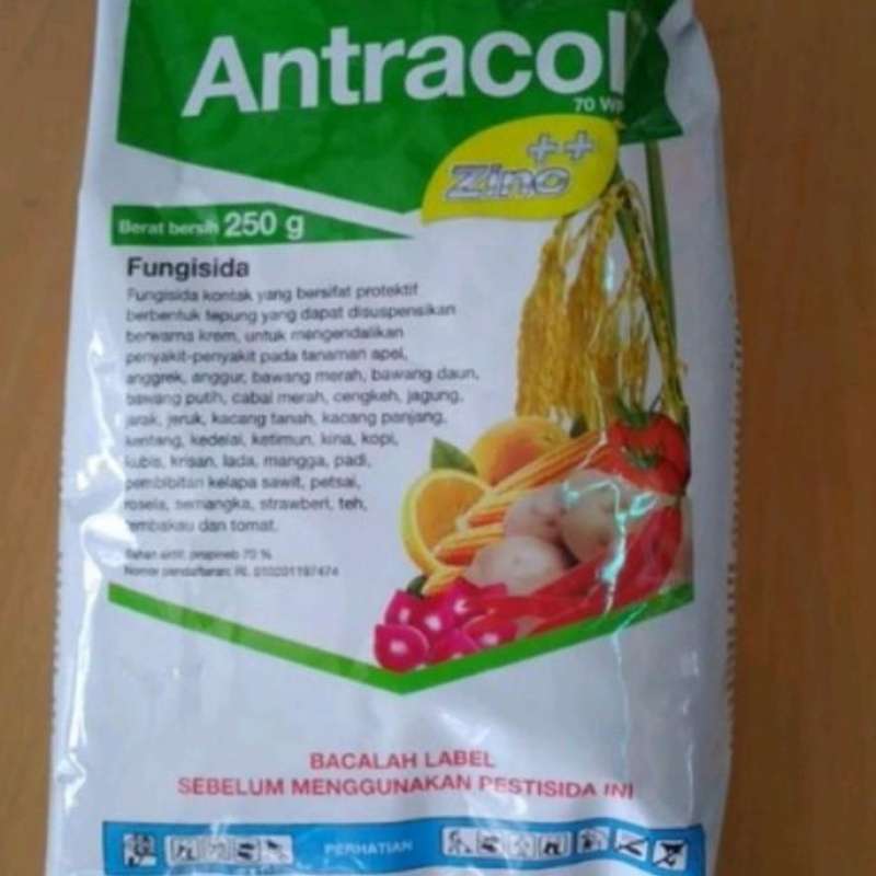 Jual Fungisida Original Antracol obat jamur pada tanaman 70WP ZInc 250 ...