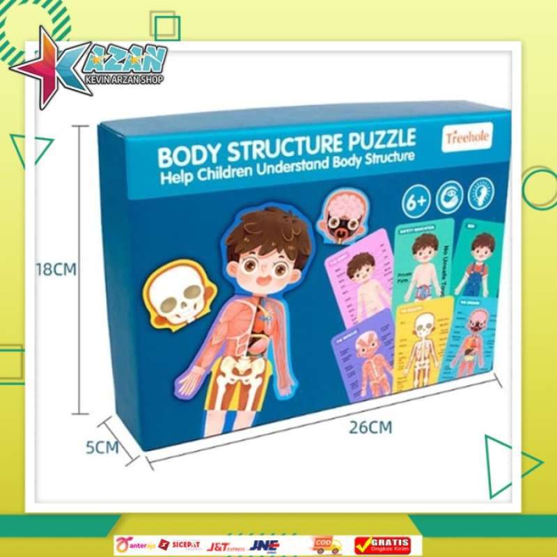 Jual Mainan Edukasi Puzzle Struktur Tubuh Manusia | Anatomi Body ...