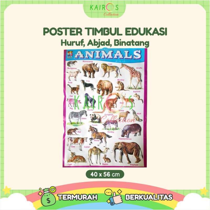 Jual Poster Anak Timbul Belajar Aneka Binatang dan Huruf Abjad Alphabet ... Jual Poster Anak Timbul Belajar Aneka Binatang dan Huruf Abjad Alphabet ...