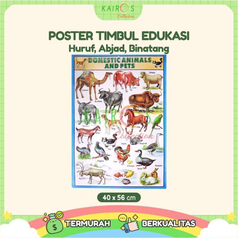 Jual Poster Anak Timbul Belajar Aneka Binatang dan Huruf Abjad Alphabet ... Jual Poster Anak Timbul Belajar Aneka Binatang dan Huruf Abjad Alphabet ...