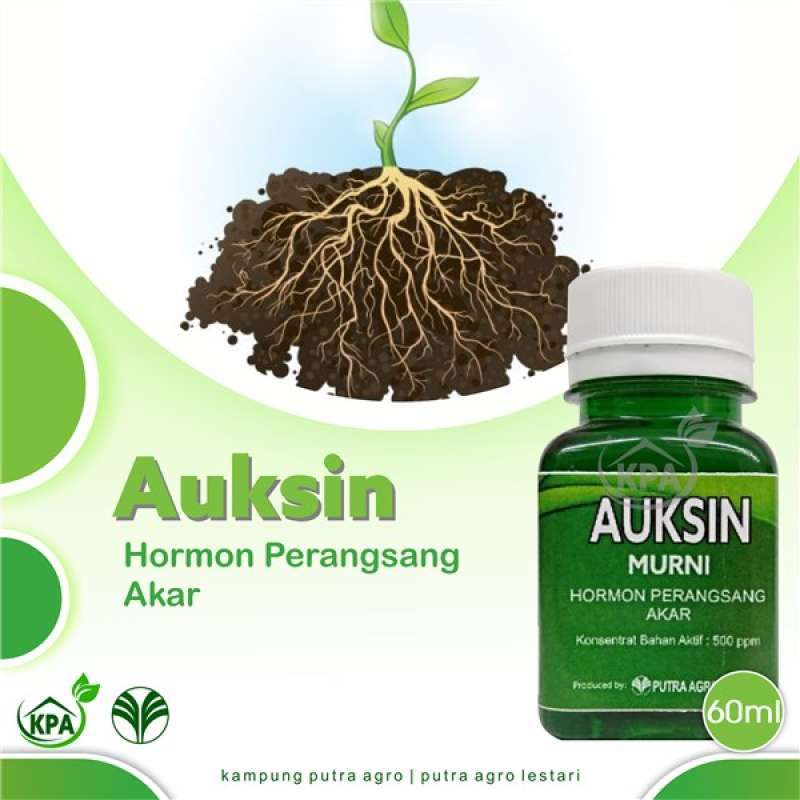 Jual AUKSIN ZPT - MEMBANTU PERTUMBUHAN AKAR UNTUK SEMUA JENIS TANAMAN ...