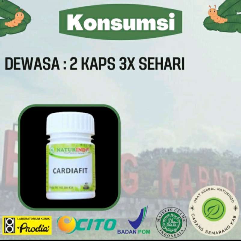 Jual Obat Sakit Jantung Nyeri Dada Obat Jantung Koroner, Lemah Jantung ...