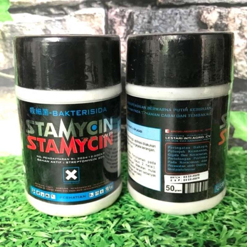 Promo Bakterisida Stamycin 50gr Anti Layu Dan Busuk Akar Tanaman ...