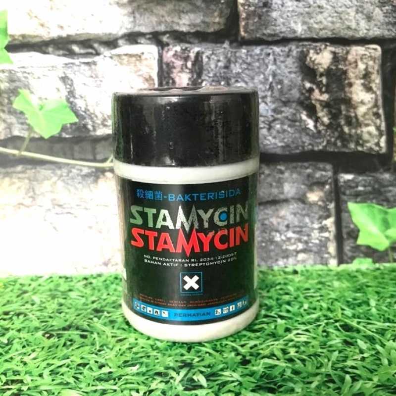 Promo Bakterisida Stamycin 50gr Anti Layu Dan Busuk Akar Tanaman ...