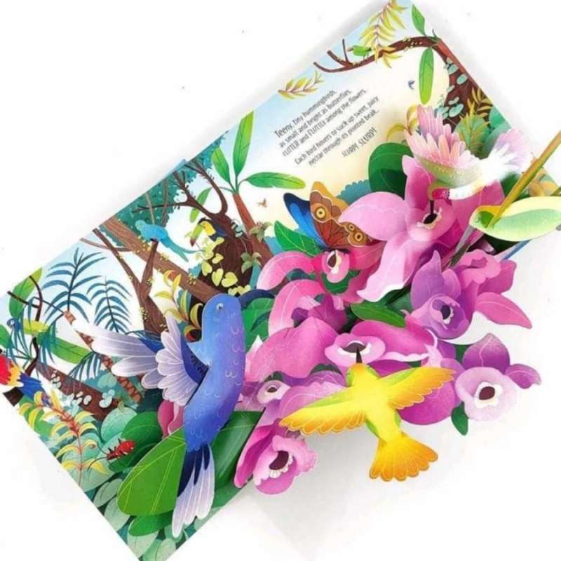 Jual Usborne Ori Pop Up Birds Buku Pop-up Anak Di Seller Mideer123 ...