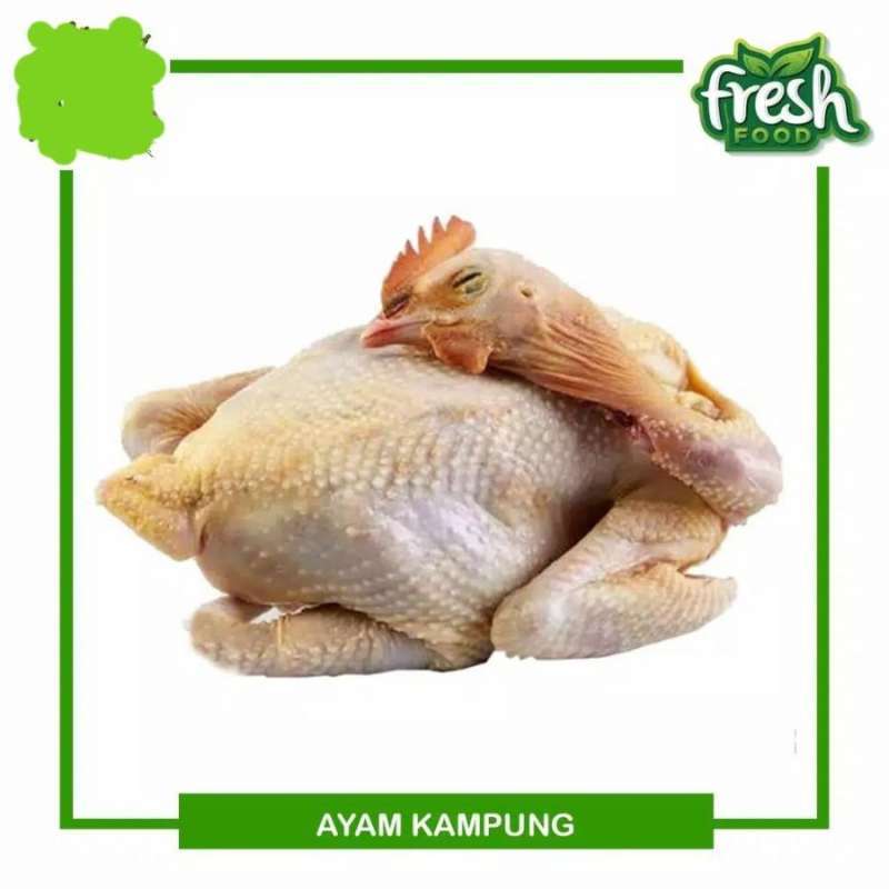 Jual Ayam Kampung Potong Dadakan Utuh Segar 1 ekor di Seller UD.Thanisa ...