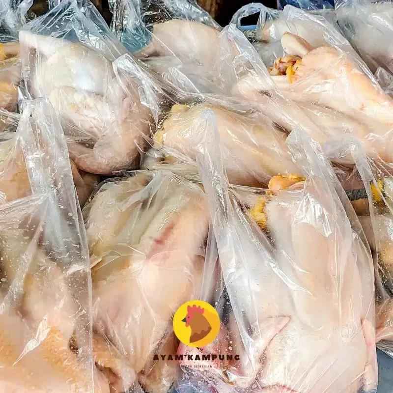 Jual Ayam Kampung Potong Dadakan Utuh Segar 1 ekor di Seller UD.Thanisa - Sunter Jaya, Kota ...