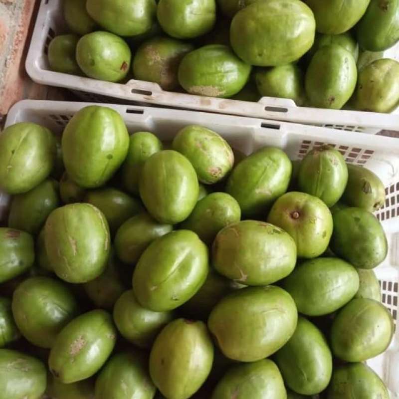 Jual Buah Kedondong Di Seller Cmf Shop Kota Semarang Jawa Tengah
