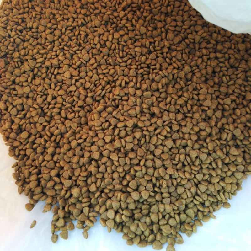 Jual Bolt Makanan Anjing 20 Kg Dog Food Bolt Bergizi Dan Penuh Nutrisi ...