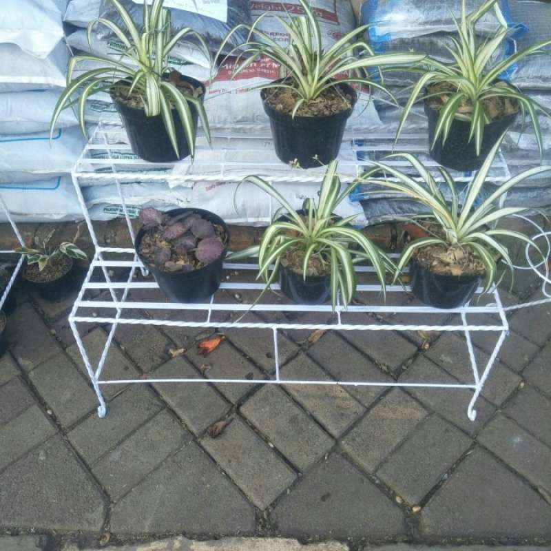 Promo Rak Pot Besi 2 Susun/Rak Pot Lebar/Rak Pot Besi Ulir Diskon 3% di ...